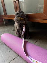 Monarch Joint Venture Store