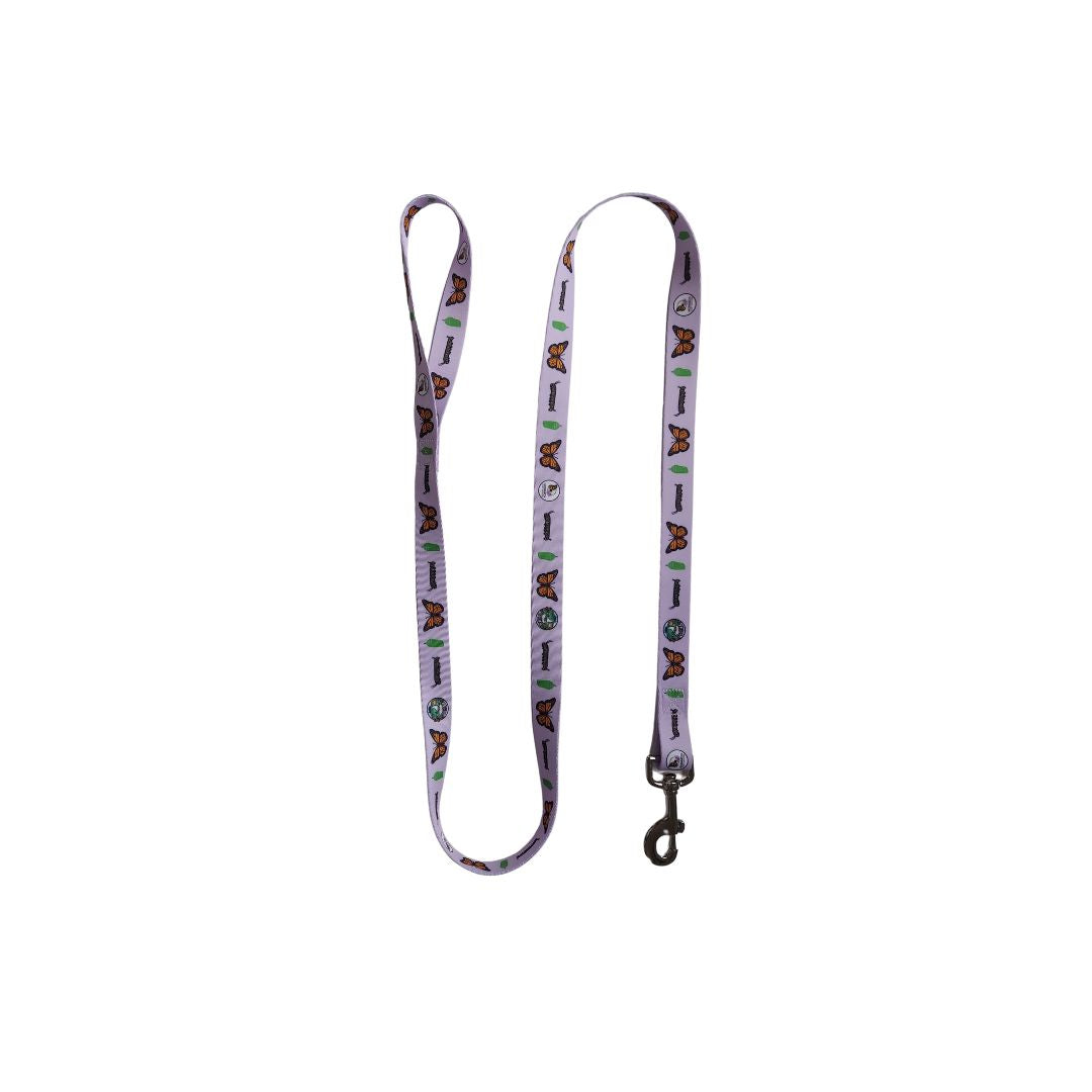 Pet Leash – Monarch Joint Venture Store