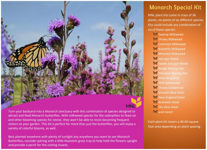 Products – Page 3 – Monarch Joint Venture Store
