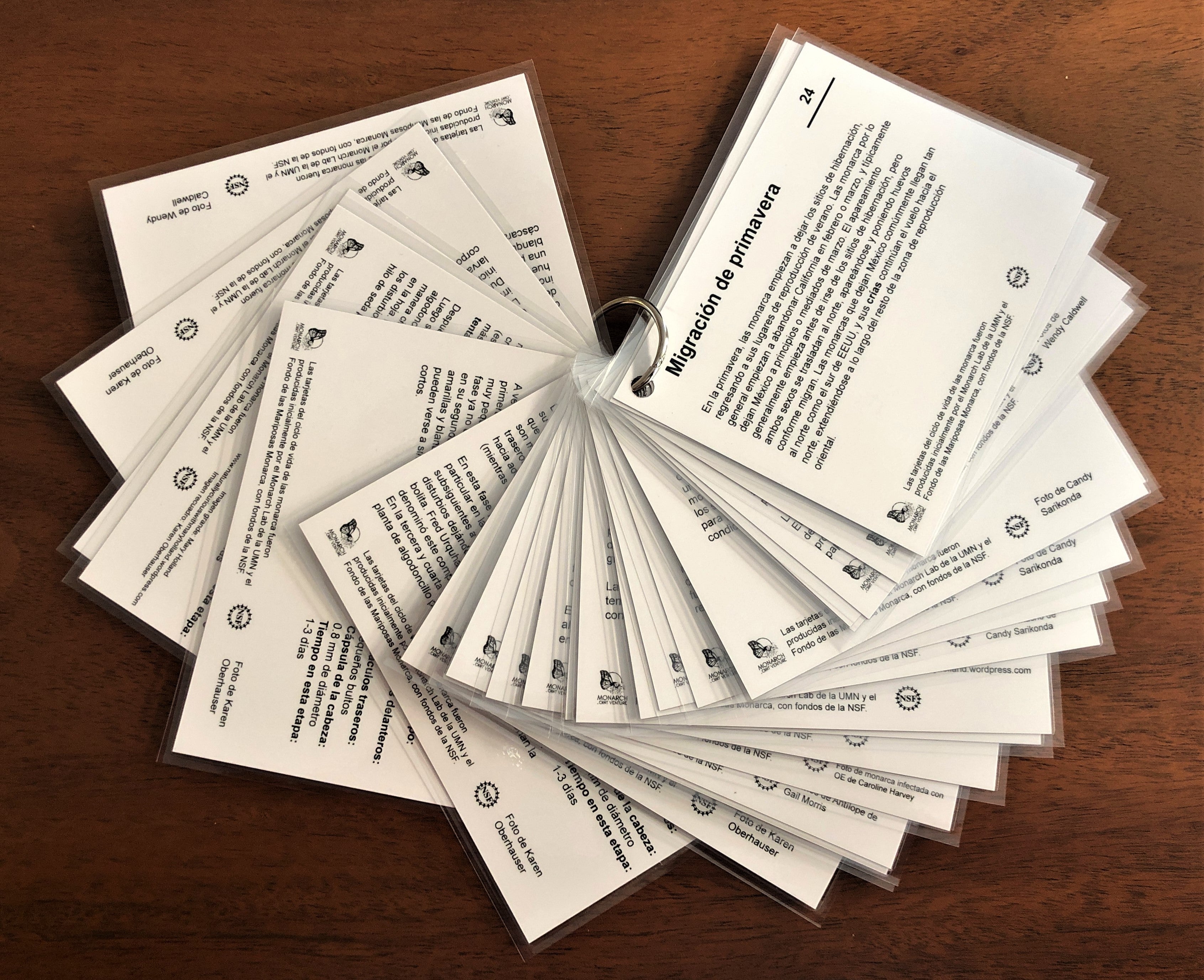 Spanish Life Cycle Cards (Tarjetas de Ciclo de Vida en Español ...