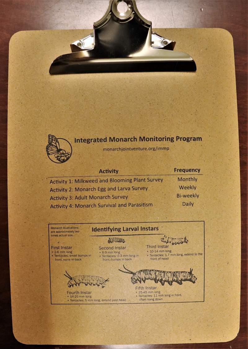IMMP Clipboard – Monarch Joint Venture Store