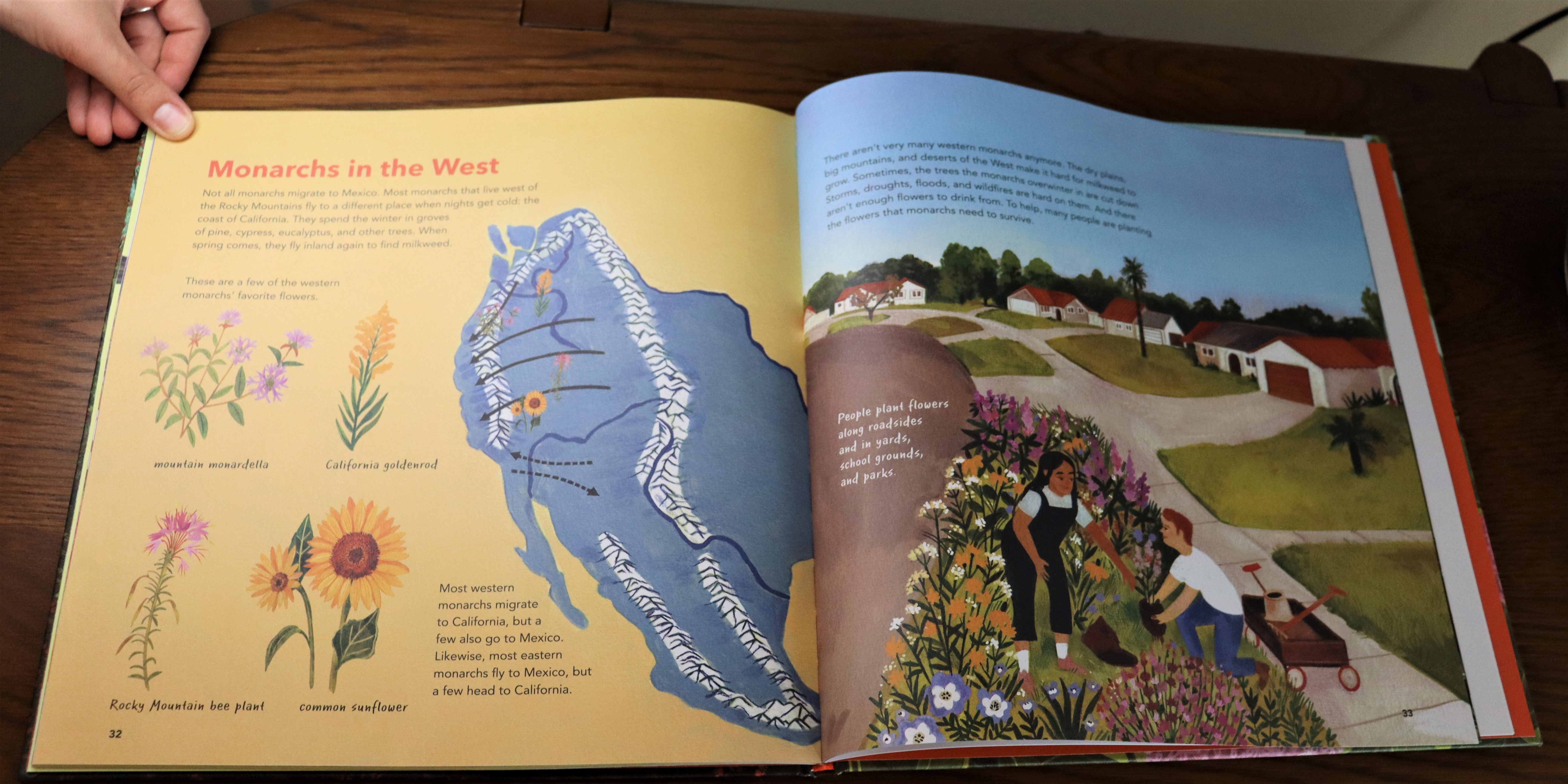 Monarch Butterflies – Monarch Joint Venture Store